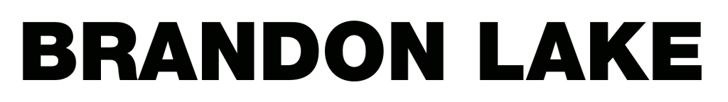 Brandon Lake Online Store